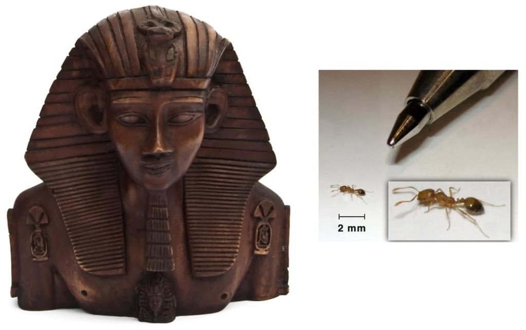 Cientifiko | La Actualidad Científika al Descubierto