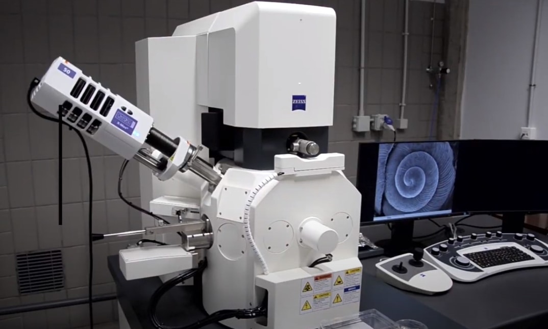 El microscopio electrónico: una mirada a otros mundos