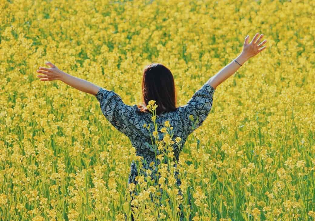 La primavera: la estación más floreciente del año
