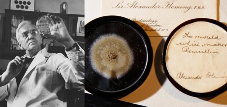 Alexander Fleming: El éxito que llegó de casualidad