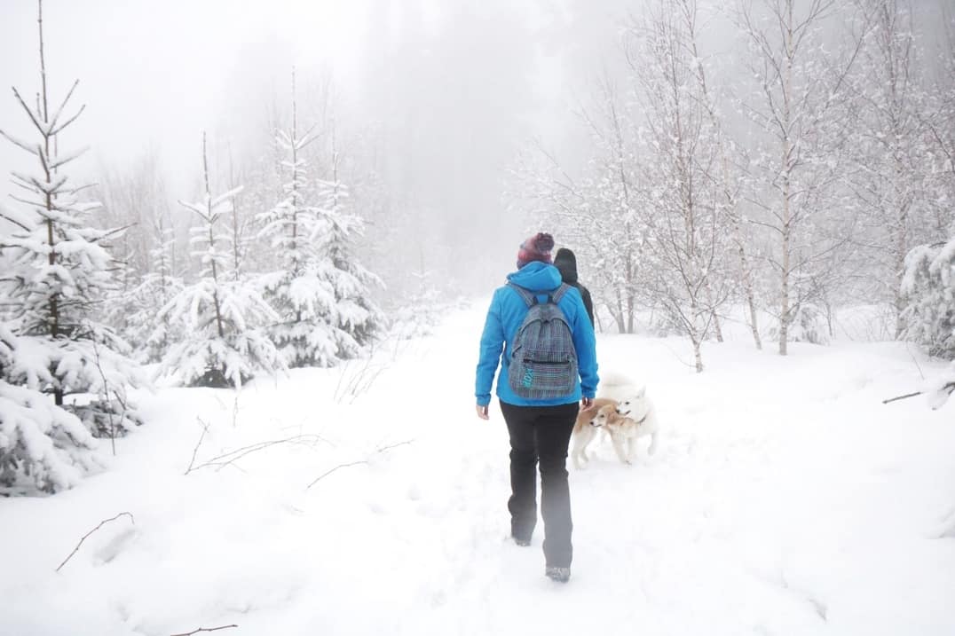 El invierno: la estación más corta del año